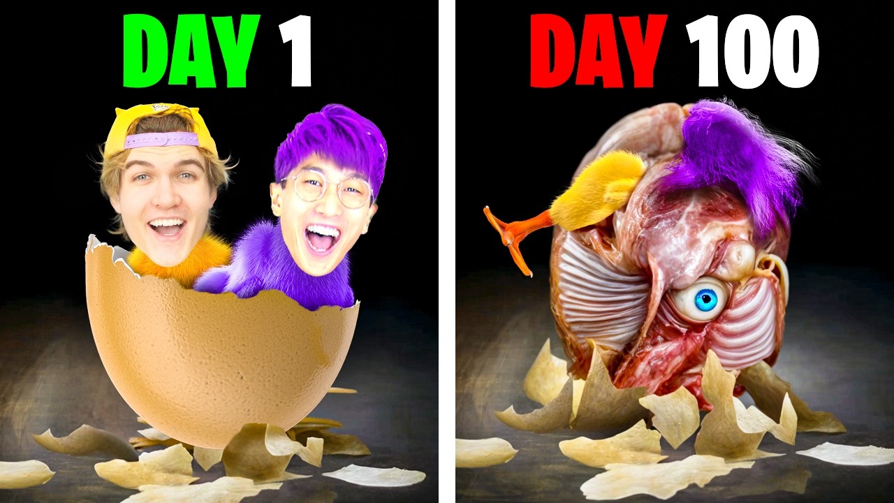 MAKE THE RIGHT CHOICE...!?