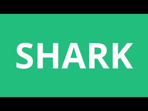 How To Pronounce Shark - Pronunciation Academy