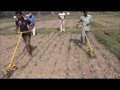 Cono Weeder at Best Price in India