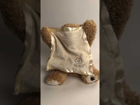 Smart Teddy Bear