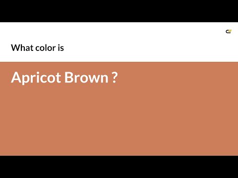Apricot Brown color #cc7e5b hex color - Orange color - Cool color cc7e5b