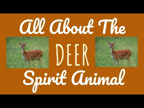 🌹🌙 THE DEER SPIRIT🌙🌹The Deer as your Spirit Animal & its Symbolism