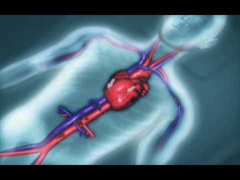 ECP Machine at Best Price in India