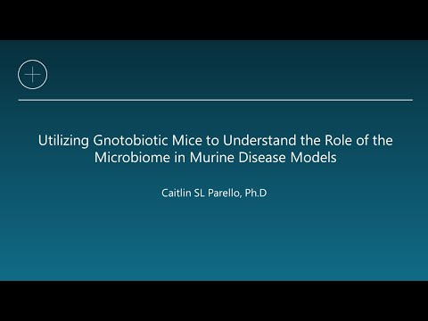 Utilizing Gnotobiotic Mice to Understand the Role of the Microbiome in Murine Disease Models