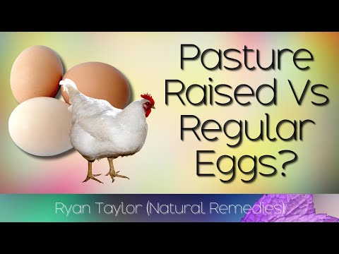 Pasture Raised Eggs vs Regular Eggs