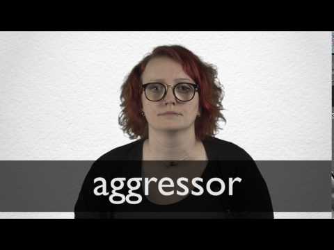 AGGRESSOR definition and meaning | Collins English Dictionary