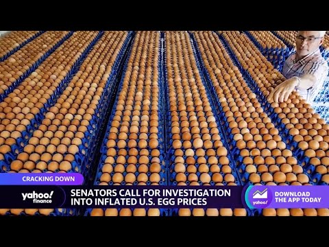 Senators call for investigation into elevated U.S. egg prices
