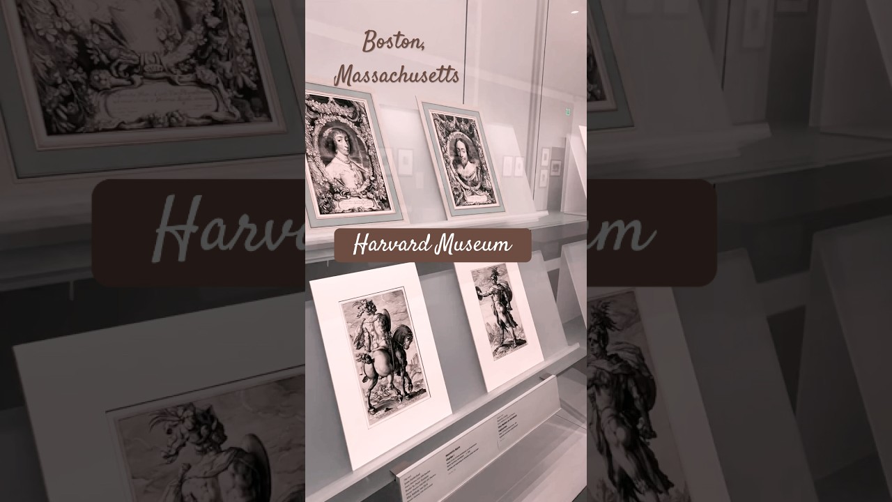 Harvard Art Museums 🎨 | Exploring Boston’s Art, Culture & Historic Events Vlog #history