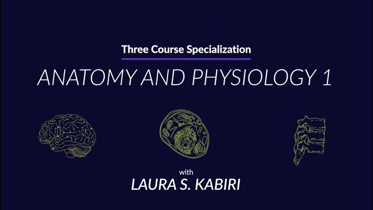 Human Anatomy & Physiology Online Courses