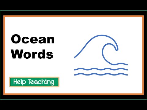 Ocean Vocabulary Words | Vocabulary Lesson for Kids