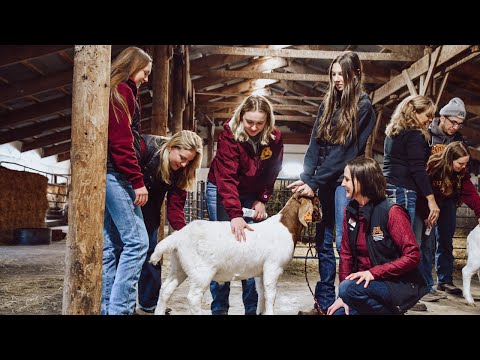 Explore our Animal Science Program