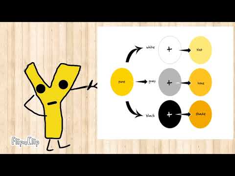 Shades of yellow colour|Learn the name of different shades of yellow colour|Vocabulary