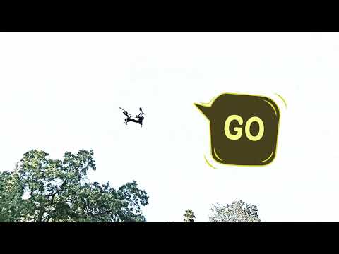 The Cartoon of Costco DJI Mini 2 Aerial Camera Bundle Review with Raiden