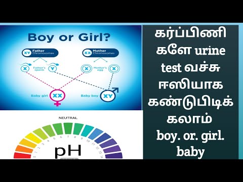 During pregnancy urine test pH leval gender pridiction in boy and girlbaby. Tamil