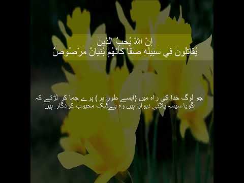 Surah As Saff | 61:4 | Quran Translation in Urdu Hindi | Quran ki Tilawat| Quran Tarjuma