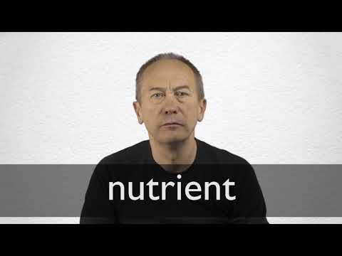 How to pronounce NUTRIENT in British English