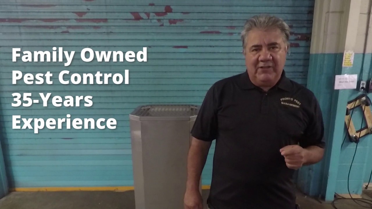 Pest Control Services (248) 399-4298 - Pronto Pest