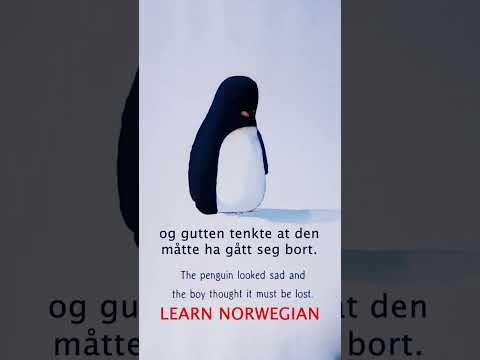 NORWEGIAN FOR BEGINNERS âž¡ The sad penguin