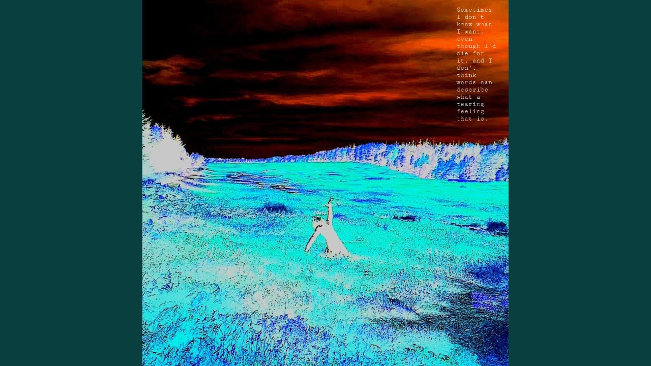 plastic_wings