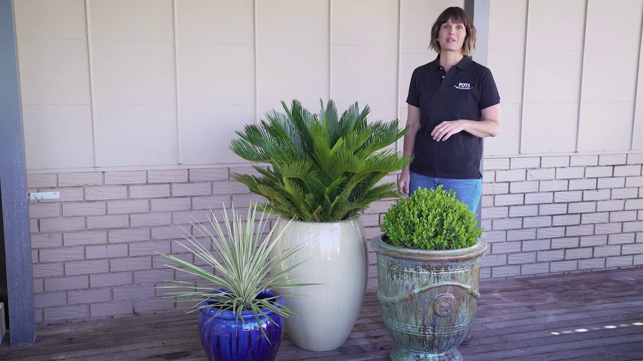 Glazed - Pots Wholesale Direct