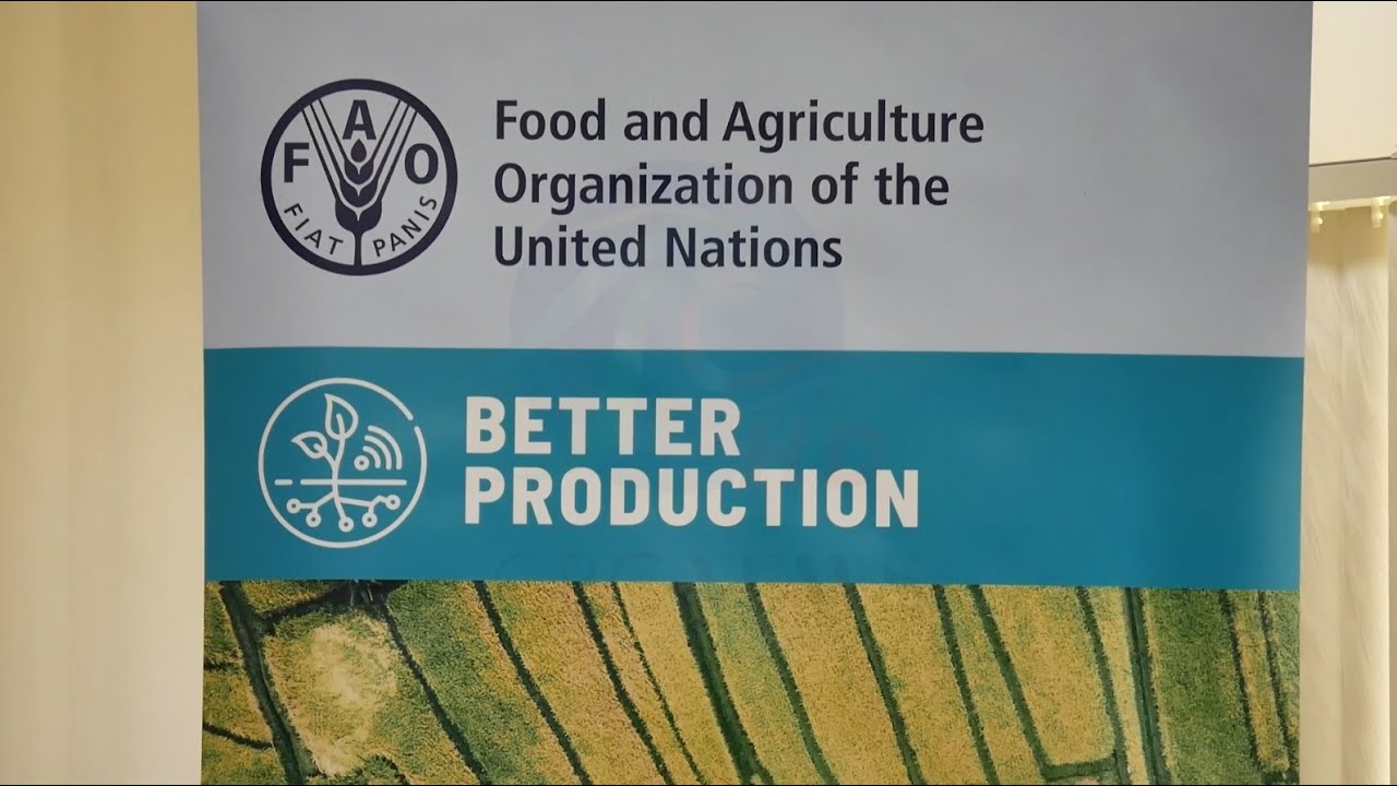 Transforming agrifood systems