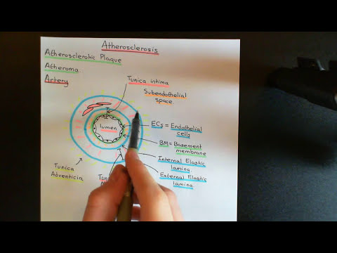 Atherosclerosis Part 1