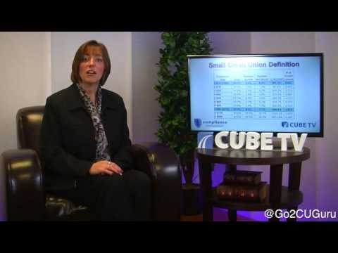 Small Credit Union Definition