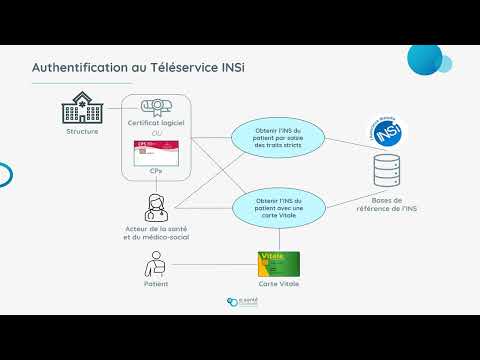 06 - INS : Moyens d'Identification Electronique