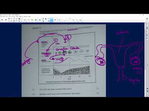 Life Sciences 2020:  Hormonal Regulation of Female Reproductive Cycle