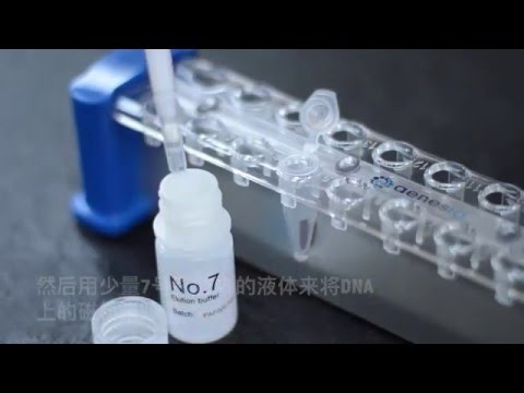 genesig Easy DNA/RNA Extraction (Chinese subtitles)