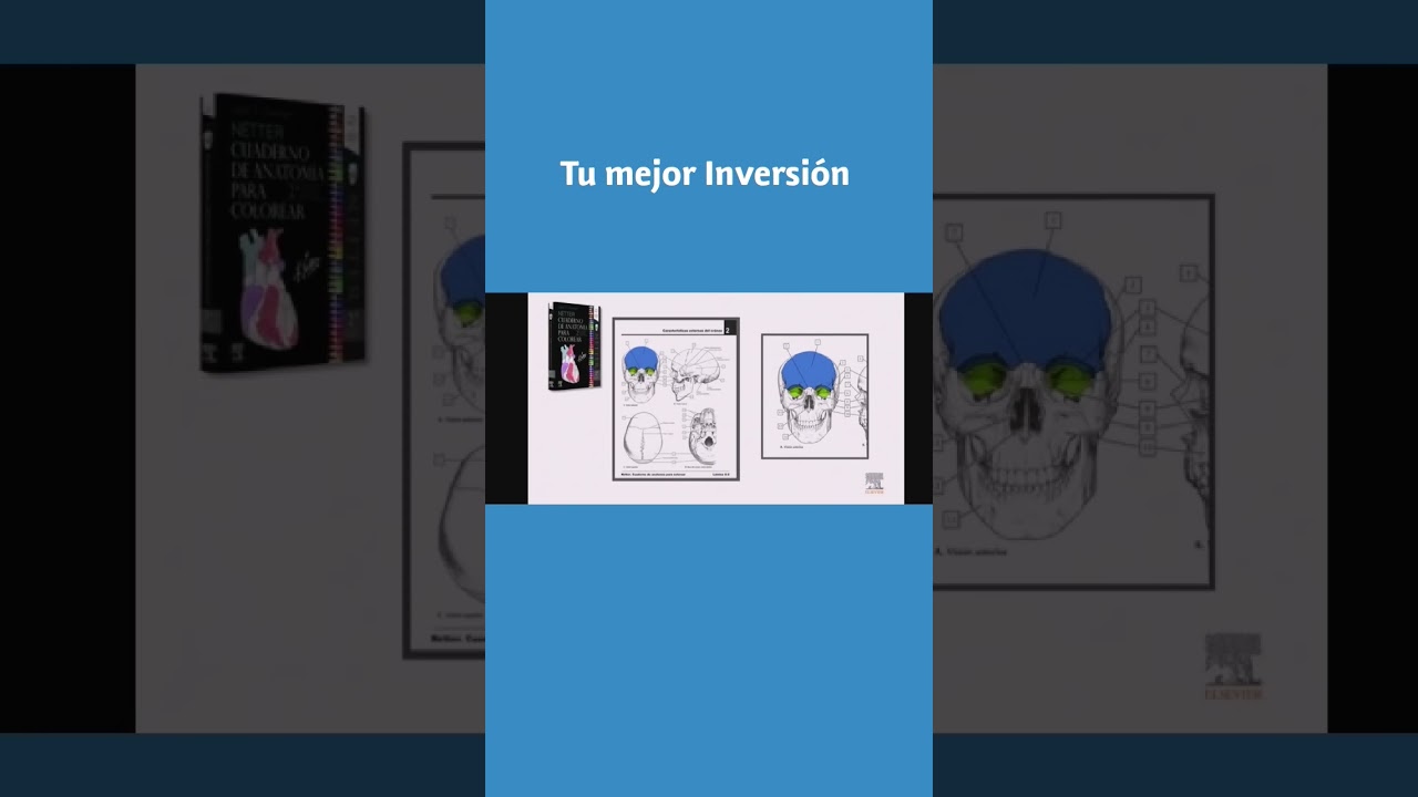 Netter Cuaderno de colorear Anatomia