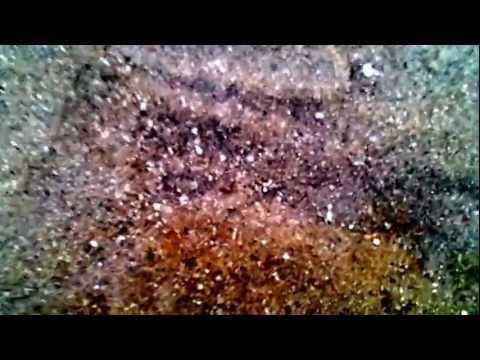 18-7-2012 - Baby White Crabs