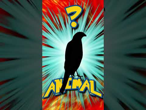 Who's That ANIMAL?! (ep. 74) #shorts #animals #quiz | Animal Fact Files