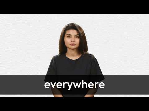 EVERYWHERE definición y significado | Diccionario Inglés Collins