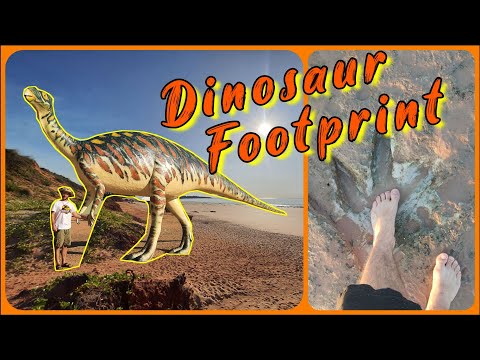 Can You Find These Dinosaur Footprints in Broome?