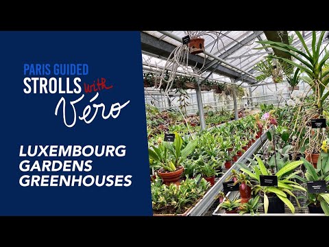 A visit to the Luxembourg gardens greenhouses (September 2020)