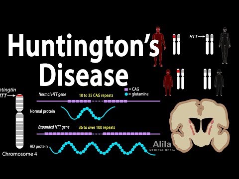 Huntington's Disease, Genetics, Pathology and Symptoms, Animation