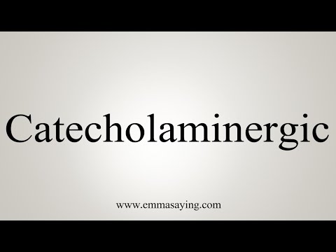 How To Say Catecholaminergic