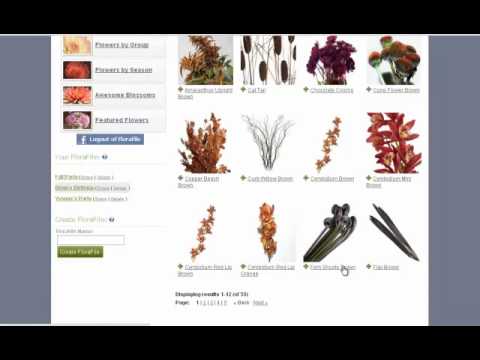 FloraFile: Overview & Demonstration