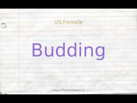 How to pronounce budding