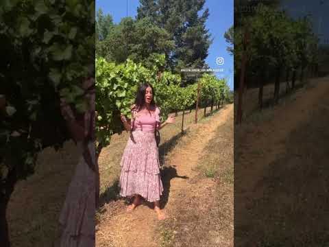 Luxury Healdsburg Home with vineyard views & 6.6 acres just minutes from Healdsburg by Kellie Larson