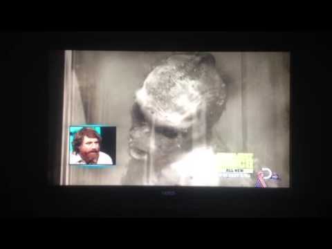 MERMAIDS: THE NEW EVIDENCE 2013 - Photo (4 from 11)