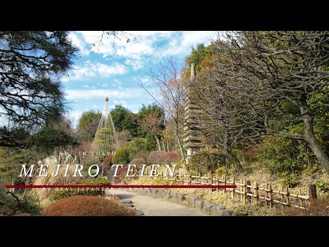 Japanese Garden: - Mejiro Teien in Tokyo 2022 - HD 4K by Real Japanese Gardens