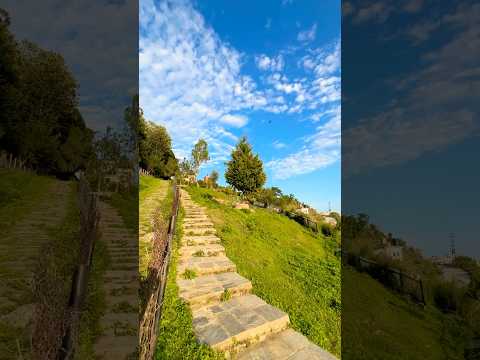 Golden Hour Walk at Kirtipur | Park by Balkhu River, Near Tinthana Bridge ๐๏ธ, 6 June 2025 #kirtipur