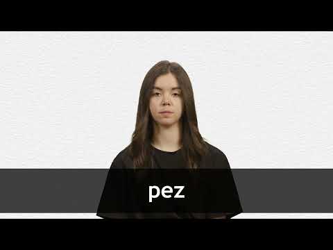 English Translation of “PEZ” | Collins Spanish-English Dictionary