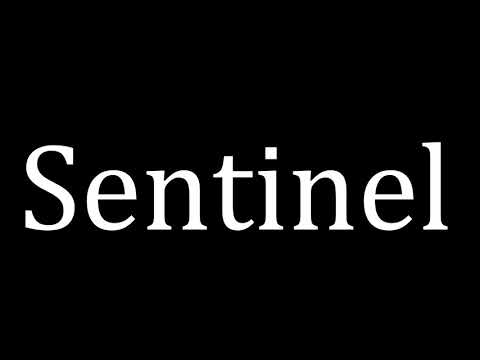 Sentinel Meaning