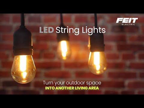 Feit Electric LED Flame Effect String Lights