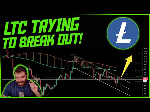 Litecoin Trying to Breakout of Bull Flag! || Dan Heilman Investing