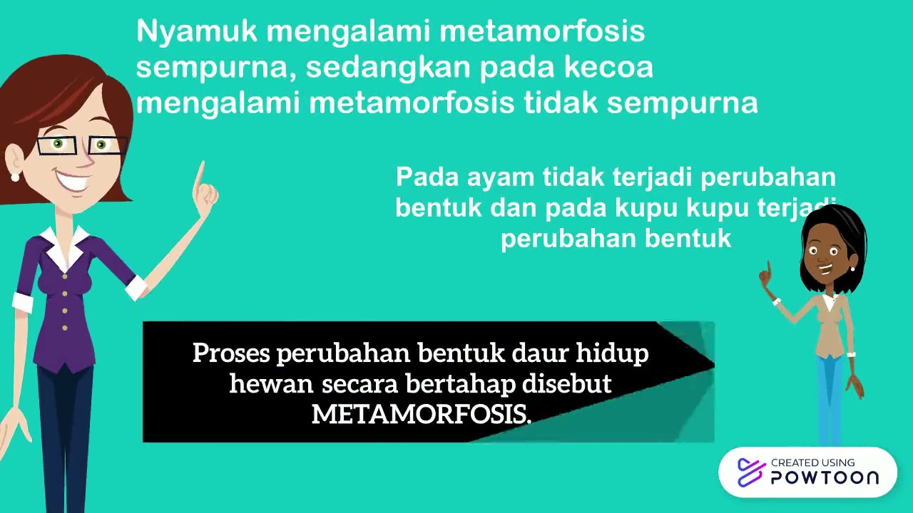 MEDIA AUDIO VISUAL POWTOON