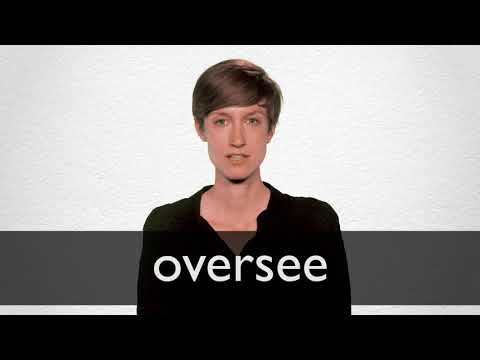 OVERSEE Synonyms | Collins English Thesaurus